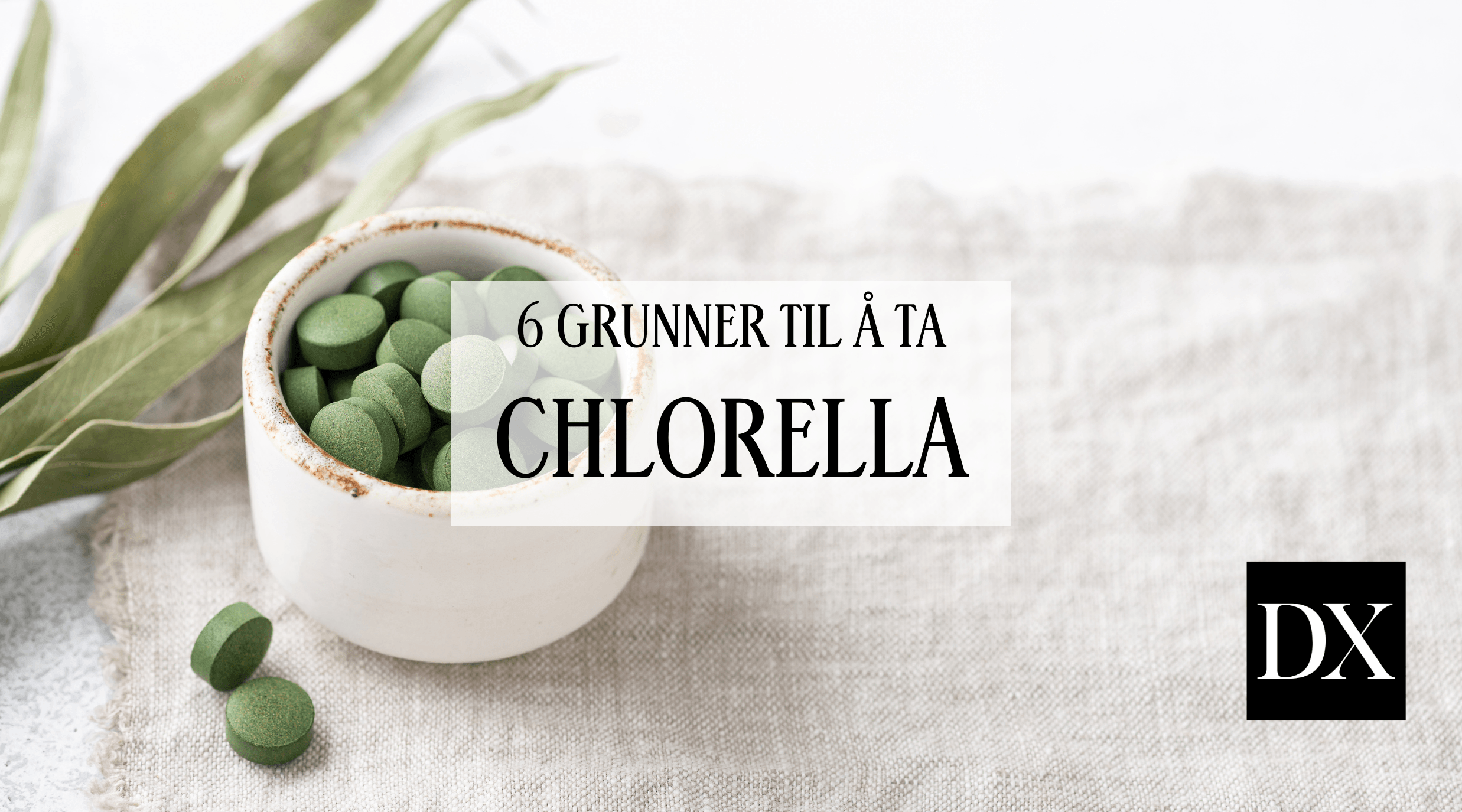 6 grunner til å ta Chlorella – Detox.no