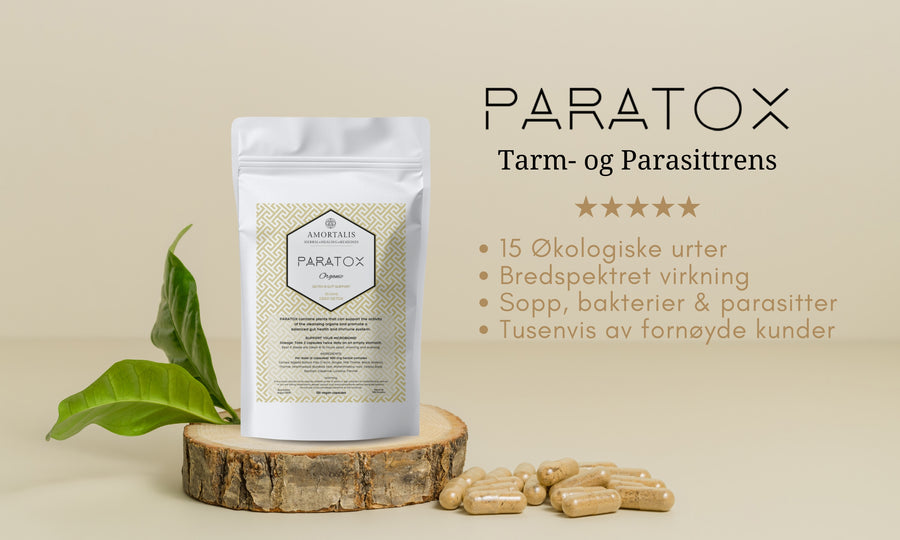 Detox.no: Premium Kosttilskudd